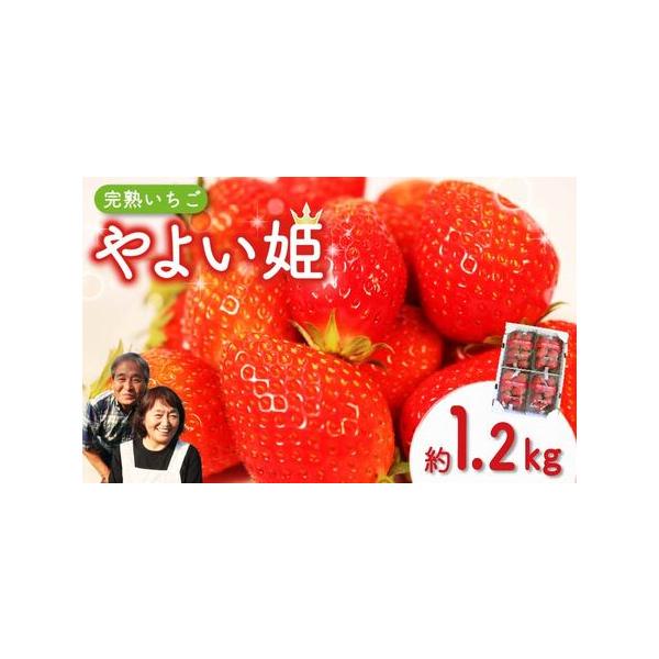 ■ 容量　やよい姫 300g×4パック 約1.2kg■ 配送について　2026年4月に順次発送予定　　※長期不在時は必ず備考欄に記載いただきますようお願い致します。　※発送日・着日指定を承ることは出来ません。　※北海道・九州地方・沖縄・離島...