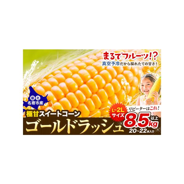 ■ 容量　8.5kg（20本〜22本）■ 配送について　2026年8月上旬-9月中旬頃出荷　タイプ：【冷蔵】