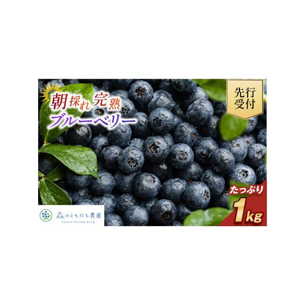 ■ 容量　【内容量】　ブルーベリー（１ｋｇ　愛媛県今治産）　　【賞味期限】　約1週間（要冷蔵）　※生の果物ですので到着後はお早めにお召し上がりください。　■ 配送について　2026年7月下旬から8月下旬　※生育状況によって発送時期が前後しま...