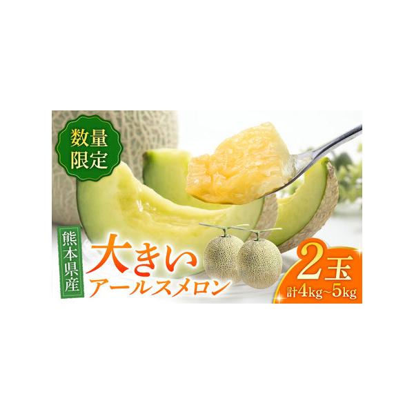 ■ 容量　約4.0kg〜5.0kg（4L〜5L）　※2玉 　※サイズの指定はできかねます。■ 配送について　【2026年】7月上旬〜7月下旬　タイプ：【常温】