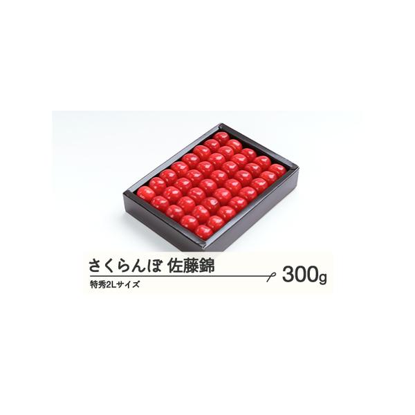 ■ 容量　佐藤錦　特秀2Lサイズ 化粧箱入 鏡詰め 300g■ 配送について　6月上旬~6月下旬頃に発送　※発送時期は、例年の発送時期を記載しております。天候や収穫状況により変更になる場合があります。　タイプ：【冷蔵】【ギフト】