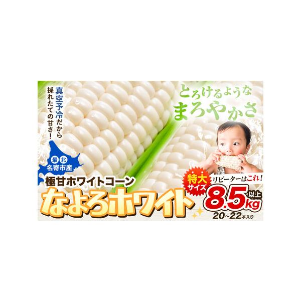 ■ 容量　8.5kg（20本~22本）■ 配送について　2026年8月上旬-9月中旬頃出荷　タイプ：【冷蔵】