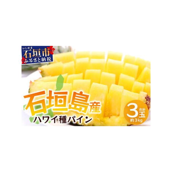 ■ 容量　ハワイ種パイン　3玉 (約3・)　　■アレルギー品目■　なし　　■賞味期限■　生ものですのでお早めにお召し上がりください。■ 配送について　■発送期日■　2026年6月上旬頃から順次発送いたします。　　■申込期日■　※2026年6...