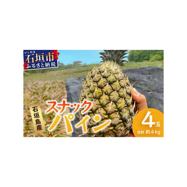 ■ 容量　スナックパイン (4玉 約4・) 　　■アレルギー品目■　なし　　■賞味期限■　生ものですのでお早めにお召し上がりください。■ 配送について　■発送期日■　2026年5月上旬頃から順次発送いたします。　　■申込期日■　2026年5...