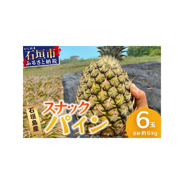 ■ 容量　スナックパイン (6玉 約6・) 　　■アレルギー品目■　なし　　■賞味期限■　生ものですのでお早めにお召し上がりください。■ 配送について　■発送期日■　2026年5月上旬頃から順次発送いたします。　　■申込期日■　2026年5...