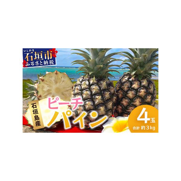 ■ 容量　ピーチパイン (4玉 約3・) 　　■アレルギー品目■　なし　　■賞味期限■　生ものですのでお早めにお召し上がりください。■ 配送について　■発送期日■　2026年5月上旬頃から順次発送いたします。　　■申込期日■　2026年5月...