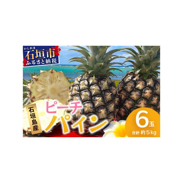 ■ 容量　ピーチパイン (6玉 約5・) 　　■アレルギー品目■　なし　　■賞味期限■　生ものですのでお早めにお召し上がりください。■ 配送について　■発送期日■　2026年5月上旬頃から順次発送いたします。　　■申込期日■　2026年5月...