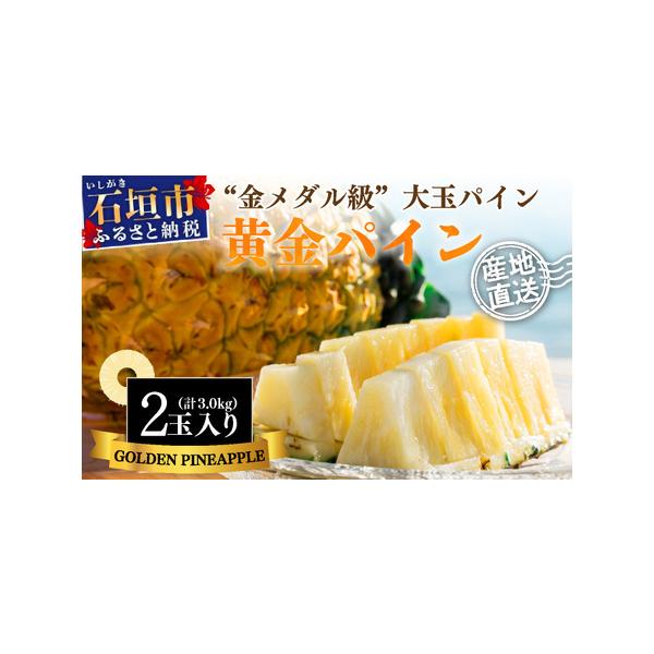 ■ 容量　■容量■　黄金パイン大玉２玉入 計計3.0kg　　■アレルギー品目■　なし　　■消費期限■　到着より常温で5日以内、その後は冷蔵で3日以内■ 配送について　■申込期日■　受付期間：2026年6月30日まで（※無くなり次第終了）　タ...