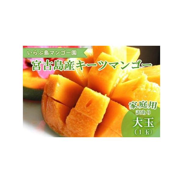 ■ 容量　キーツマンゴー大玉1玉（900ｇ以上）■ 配送について　2026年8月上旬頃より発送します。(確実にお手元にお届けするため発送前にご連絡いたしますので、必ず連絡のとれる電話番号とメールアドレスをご記入ください）、　タイプ：【常温】