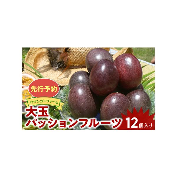 ■ 容量　大玉パッションフルーツ 約1.2kg×1箱　（大玉12個入り）　---------------------------------------------------　【賞味・消費期限】　冷暗所で10日程度　　【保存方法】　冷暗所...