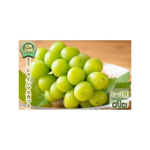 ■ 容量　・内容量：シャインマスカット2房〜3房 約1kg　・原産地：上田市　■ 配送について　2026年9月下旬〜10月中旬　　タイプ：【冷蔵】