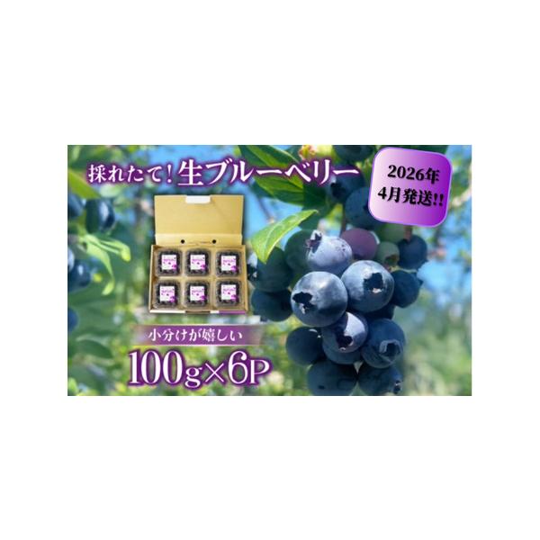 ■ 容量　約600g (100g×6パック) ■ 配送について　2026年4月より順次発送　　タイプ：【冷蔵】