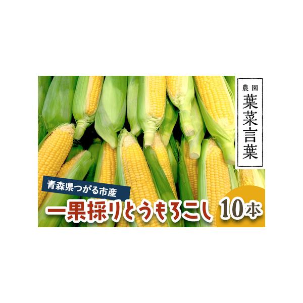 ■ 容量　■内容量：一果採りとうもろこし 10本 合計約3.5kg■ 配送について　令和8年7月下旬から8月上旬まで順次発送　※天候や収穫状況によって発送期間が変更になる場合がございます。　　※離島への発送はできません。　　※お届け日の指定...