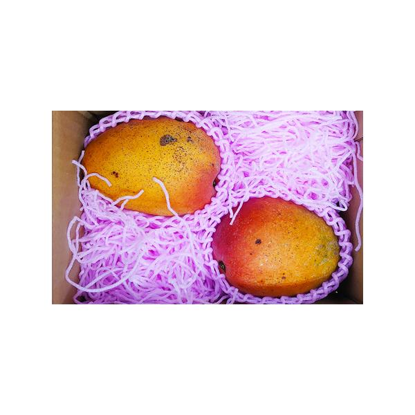 ■ 容量　約1kg前後(2〜4玉程度)■ 配送について　2026年7月上旬〜8月下旬迄順次発送予定　タイプ：【冷蔵】