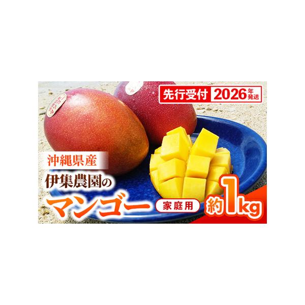 ■ 容量　沖縄県産マンゴー（ご家庭用）約1kg（2〜3玉）　・玉数の指定はできません■ 配送について　2026年6月中旬〜7月末頃を予定　タイプ：【冷蔵】