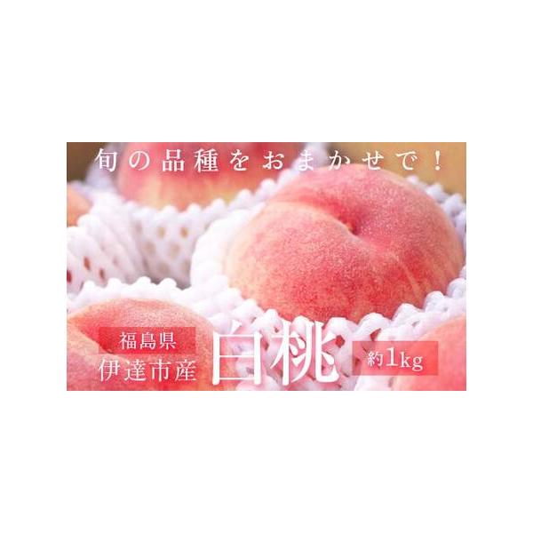 ■ 容量　【容量】　約1kg（3〜6玉）品種指定不可 (白桃：日川白鳳、暁星、あかつき、ふくあかり、まどか、川中島白桃、ゆうぞら、かぐや、幸茜、さくら白桃、のいずれか)　※収穫状況により発送時期が前後するため、前もって発送日を確定しにくい状...