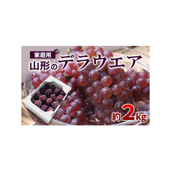 ■ 容量　【令和8年産】　【ご家庭用】山形のデラウエア 優品 約2kg(M〜3L、9〜22房)　(粒サイズおまかせ) ■ 配送について　【申込期日】2026年08月01日まで　【発送期間】2026年07月15日頃〜2026年08月15日頃　...