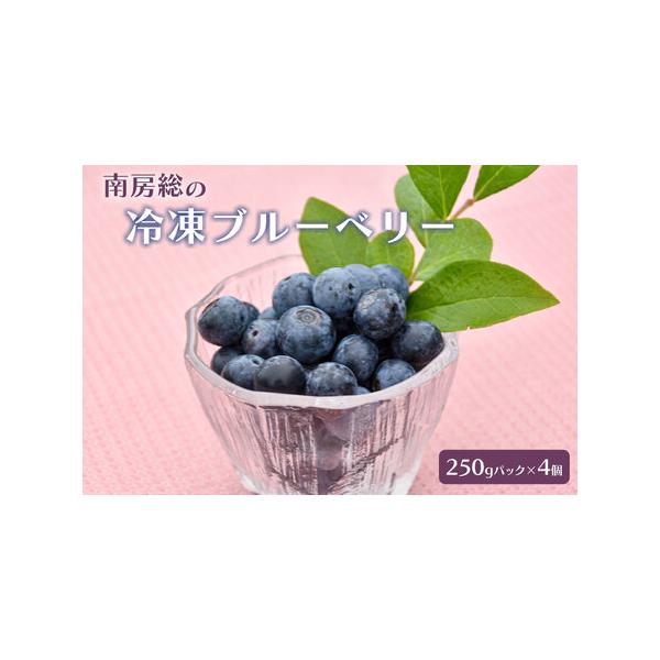■ 容量　冷凍ブルーベリー　250gパック×4個入り　発泡スチロール箱にて配送■ 配送について　2026年8月中旬〜12月20日　お申込み順に順次お届け　※生育により配送期間が前後する場合がございます。　タイプ：【冷凍】