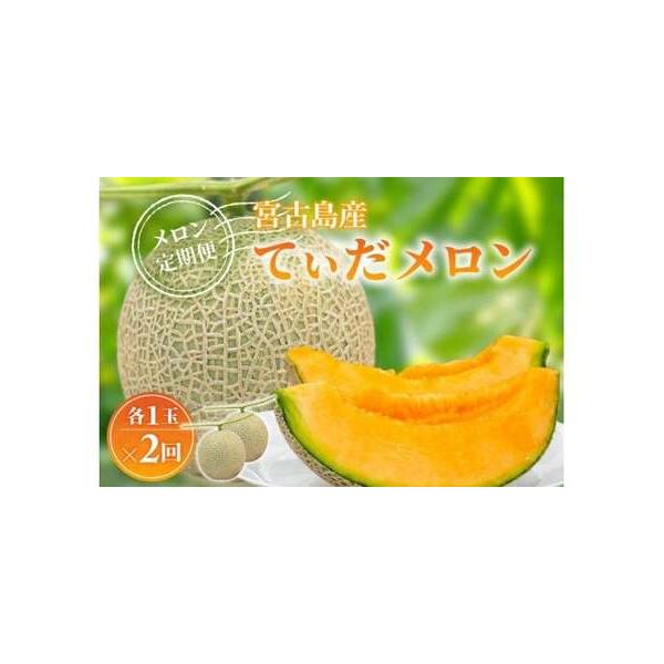 ■ 容量　1玉2kg以上《2025年冬・2026年春発送》■ 配送について　・2025年12月下旬〜1月下旬、順次発送 　・2026年4月中旬〜5月下旬、順次発送  　タイプ：【常温】【定期】