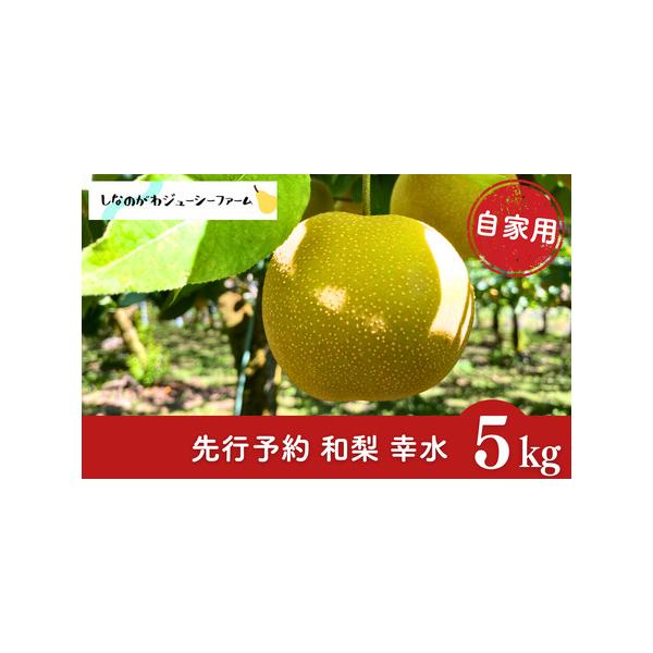 ■ 容量　8~20個（合計約5kg）　※生育状況により、個数が前後する場合がございます。■ 配送について　8月中旬〜9月上旬頃　※天候や生育状況により、発送開始・終了時期が前後する場合がございます。　※お申込み順に発送いたしますので、配達日...