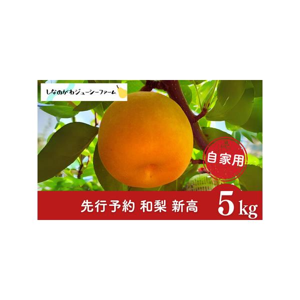 ■ 容量　5~20個（合計約5kg）　※生育状況により、個数が前後する場合がございます。■ 配送について　10月上旬〜11月上旬頃　※天候や生育状況により、発送開始・終了時期が前後する場合がございます。　※お申込み順に発送いたしますので、配...