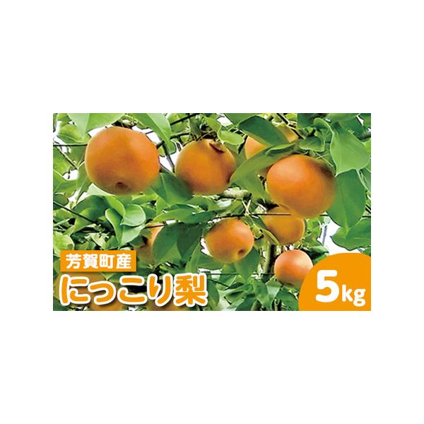 ■ 容量　約5kg■ 配送について　2026年10月上旬〜10月下旬頃　タイプ：【常温】
