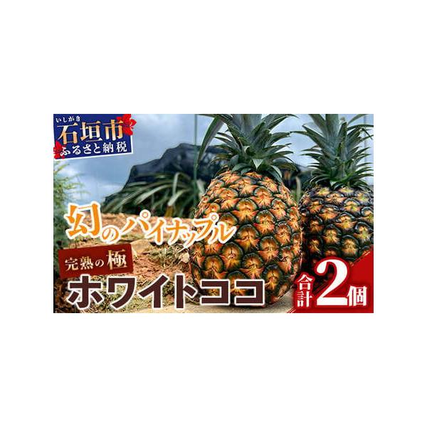 ■ 容量　パイナップル2個入り　合計約2kg前後　（自然の物なので大きさや重さは前後する可能性があります）■ 配送について　2026年5月以降を目安に順次発送いたします。　　【消費期限】　お手元に到着後、約10日程度　※パイナップルは追熟し...