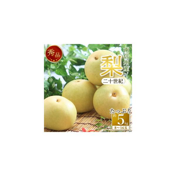 ■ 容量　内容量：約5kg(8〜16玉)　原産地：南信州産(長野県高森町を含む)　賞味期限：出荷日から6日　提供元：みなみ信州農業協同組合■ 配送について　配送予定：2026年9月5日〜2026年9月15日　配送日の指定はできません。　【配...