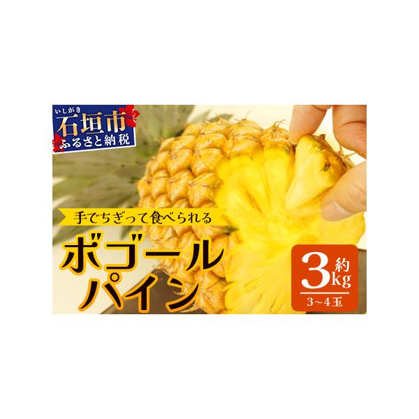 ■ 容量　ボゴールパイン 3〜4玉セット 約3・　　■賞味期限■　到着後3日　※生鮮品ですのでお早めにお召し上がりください。■ 配送について　2026年4月下旬頃より順次発送いたします。　　■申込期日■　2026年5月18日頃まで受付いたし...