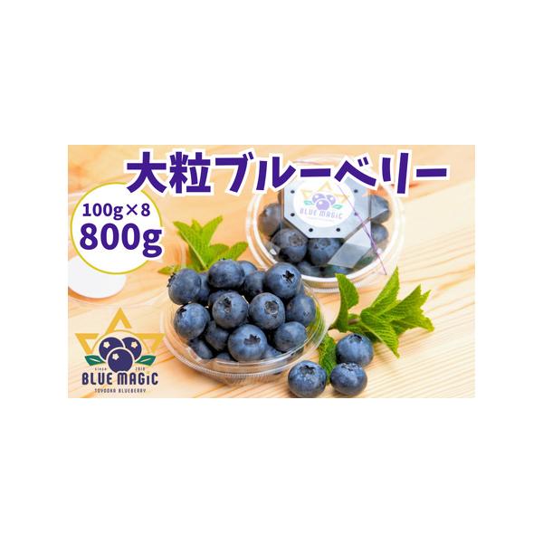 ■ 容量　800 ｇ（100g×8パック）■ 配送について　4月下旬から5月末頃まで　※日付指定は承れません。（月、水、金で発送いたします。）　※北海道・沖縄・離島への配送は不可となります。　タイプ：【冷蔵】