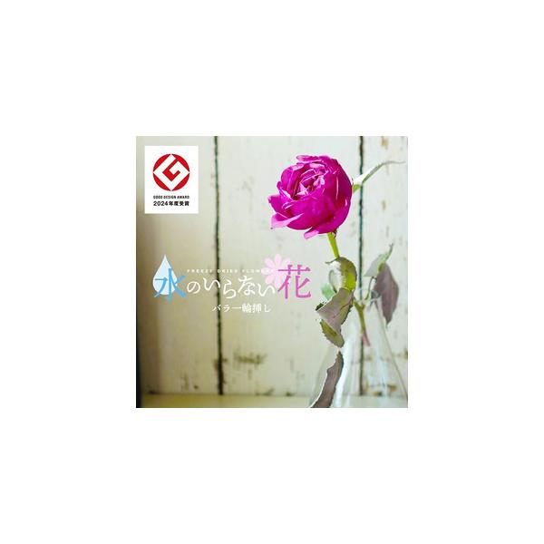 ■ 容量　フリーズドライフラワー（花瓶つき）　約高さ26cm×幅10cm※お花により異なります。■ 配送について　決済から40日以内に発送　タイプ：【常温】