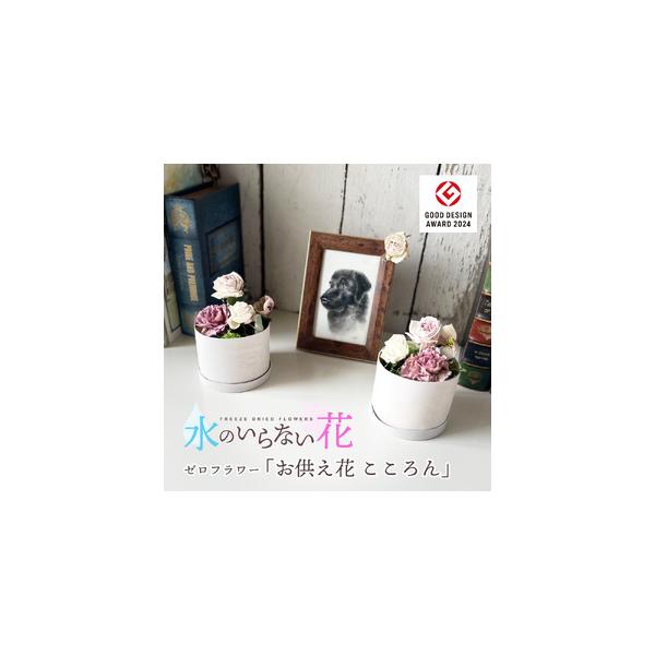 ■ 容量　フリーズドライフラワー 1対　約高さ15cm×幅12cm※お花により異なります。■ 配送について　決済から40日以内に発送　タイプ：【常温】