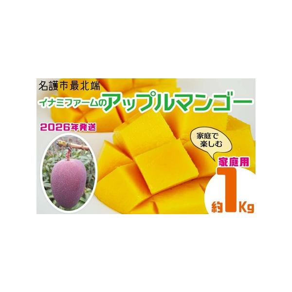 ■ 容量　アップルマンゴー　約1kg　（2〜3玉）　　家庭用・白箱　色付が3割以下　表皮に多少の傷あり　　アレルギー：ウルシ科■ 配送について　2026年7月中旬〜8月中旬で順次発送予定　　タイプ：【冷蔵】