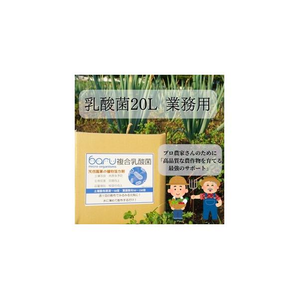 ■ 容量　【内容】BARU乳酸菌液　20L　業務用　【事業者名】BARUバイオジャパン吉村