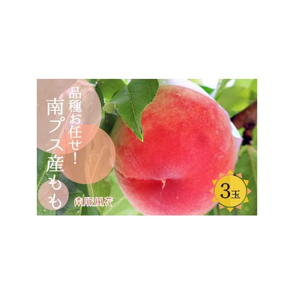 ■ 容量　桃3玉■ 配送について　発送時期：2026年7月上旬〜8月上旬　※離島、沖縄県にはお届けできない返礼品です。　タイプ：【常温】