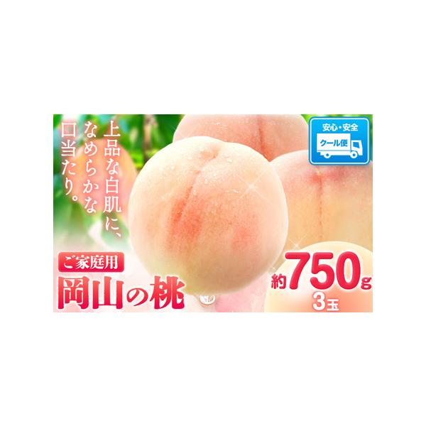 ■ 容量　合計750g（3玉）■ 配送について　2026年6月下旬-9月上旬頃出荷　タイプ：【冷蔵】