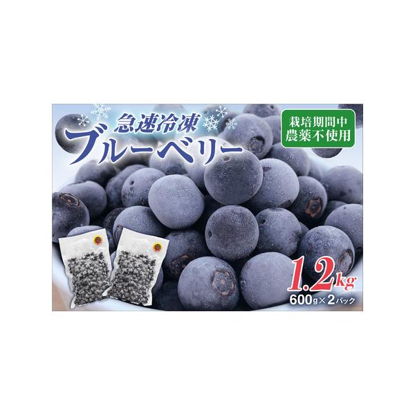 ■ 容量　【内容量】600g×2袋　【原材料】ブルーベリー　【原産地】宗像市産　【のし対応】不可　【賞味期限】製造日より冷凍で1年　【事業者】JAむなかた農産物直売所「ほたるの里」：0940-32-4058■ 配送について　【配送不可地域】...