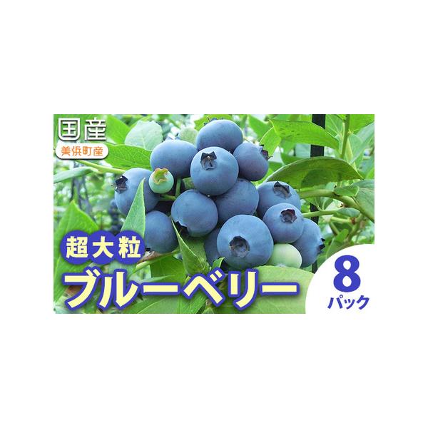 ■ 容量　100gパック×8個　最低2品種入っております（品種はパックに記載）■ 配送について　2026年5月上旬?7月上旬頃に順次発送予定　タイプ：【常温】