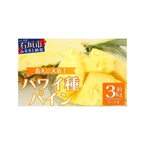 ■ 容量　ハワイ種パイン 2〜3玉セット 約3・　　■賞味期限■　到着後3日　※生鮮品ですのでお早めにお召し上がりください。■ 配送について　2026年7月上旬頃より順次発送いたします。　　■申込期日■　2026年7月15日頃まで受付いたし...