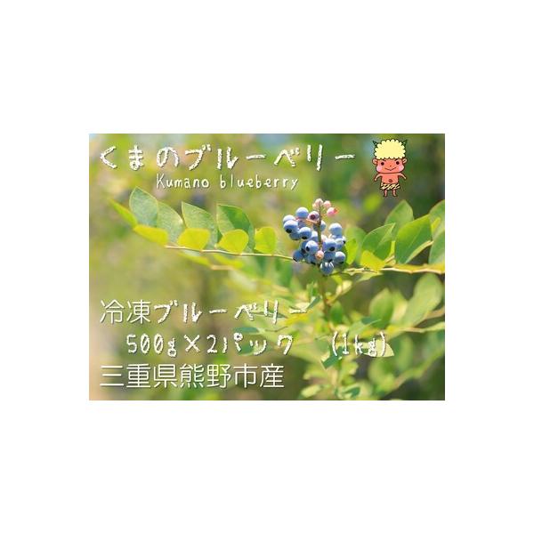 ■ 容量　ブルーベリー(冷凍)1kg　　　【賞味期限】　出荷から冷凍60日■ 配送について　ご寄附後2週間以内に発送　※収穫状況や気象の影響、自然災害により遅延または発送が早まる場合があります。　タイプ：【冷凍】