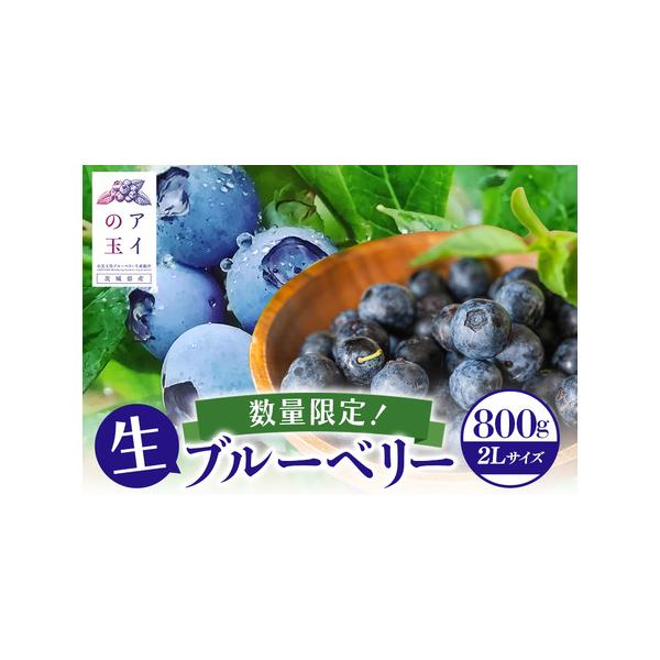 ■ 容量　800g(100g×8パック)■ 配送について　2026年7月31日まで受付　※数量限定のため、在庫がなくなり次第受付終了となります。　タイプ：【冷蔵】