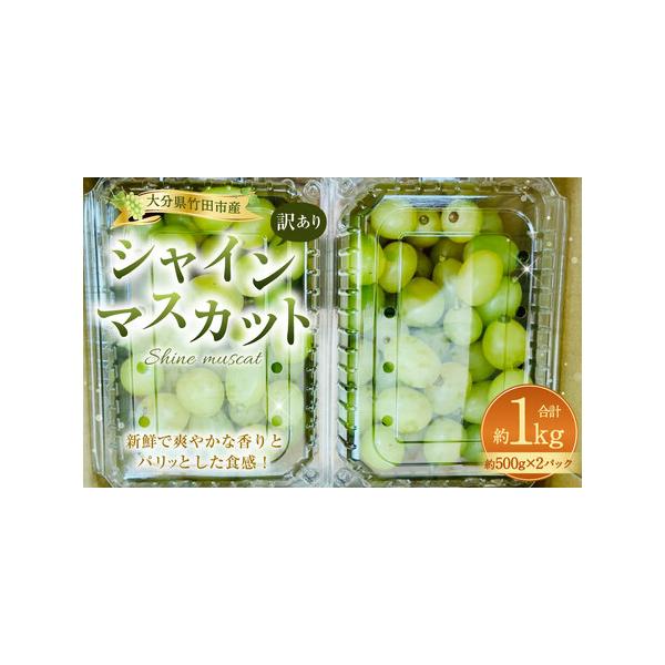 ■ 容量　約500g×2パック 計約1kg■ 配送について　寄附確認後、2026年8月下旬〜11月上旬に順次発送　タイプ：【冷蔵】