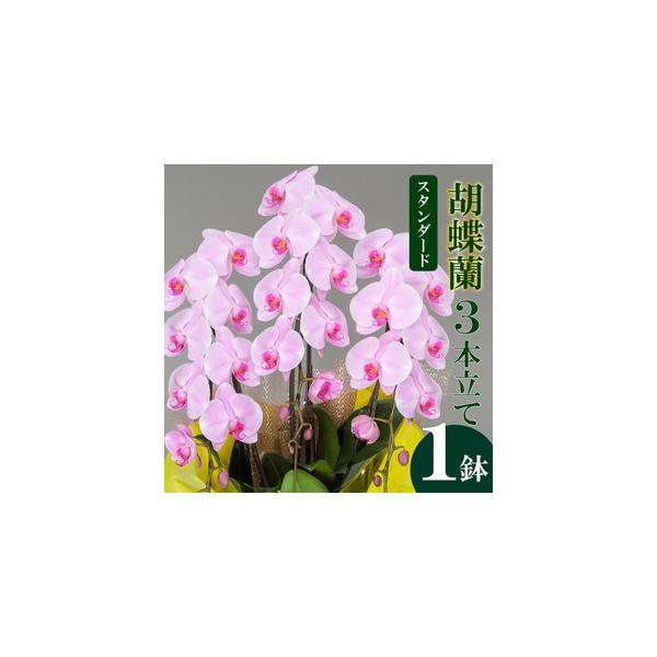 ■ 容量　胡蝶蘭:3本立て　■高さ:85cm?95cm　■幅:45cm?55cm　■重量:約4.8~5.5kg■ 配送について　入金確認から最短で1週間、最長で1ヶ月弱お時間をいただきます。　※商品が寒さに弱いため、11月?3月末日まで下記...