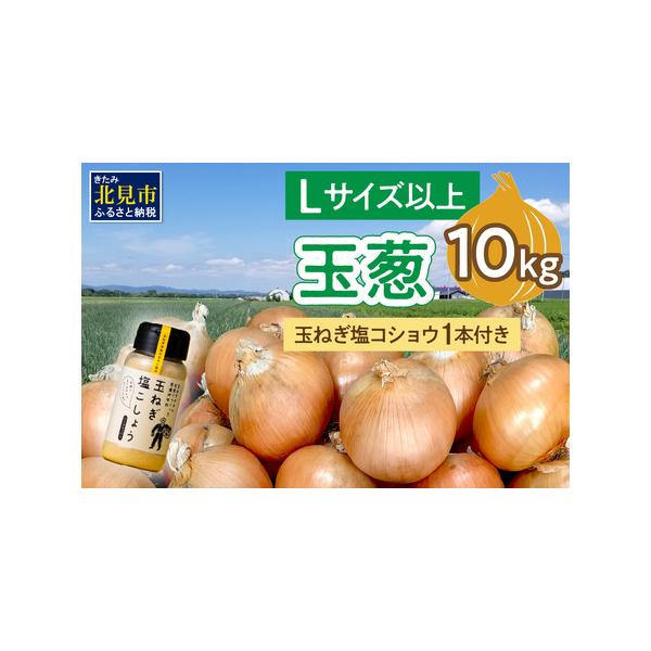 ■ 容量　玉葱　10kg(Lサイズ以上)　　玉ねぎ塩こしょう　1本■ 配送について　発送可能時期より順次発送予定　（2024年10月中旬〜2025年2月中）　タイプ：【常温】