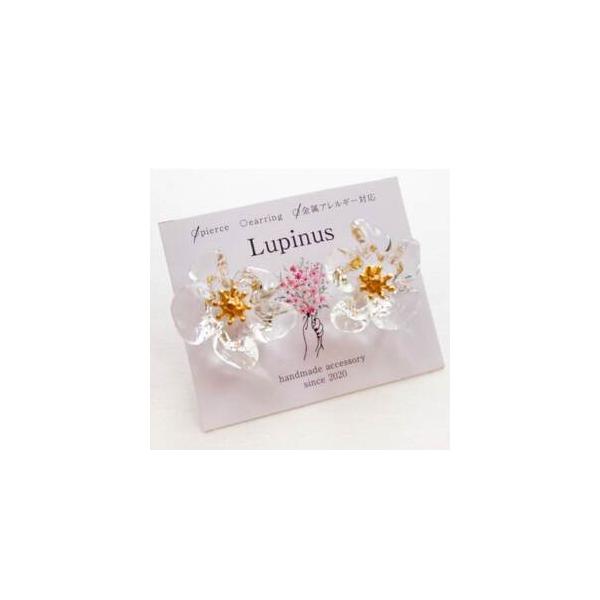 ■ 容量　※上記に記載■ 配送について　2026年1月より順次発送　タイプ：【常温】