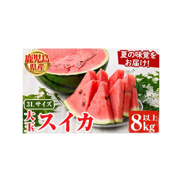 ■ 容量　鹿児島県産 大玉スイカ：1玉(3Lサイズ・8kg以上)■ 配送について　2026年6月中旬以降順次発送予定　※青果のため、育成状況により発送が前後する場合がございます。　タイプ：【常温】
