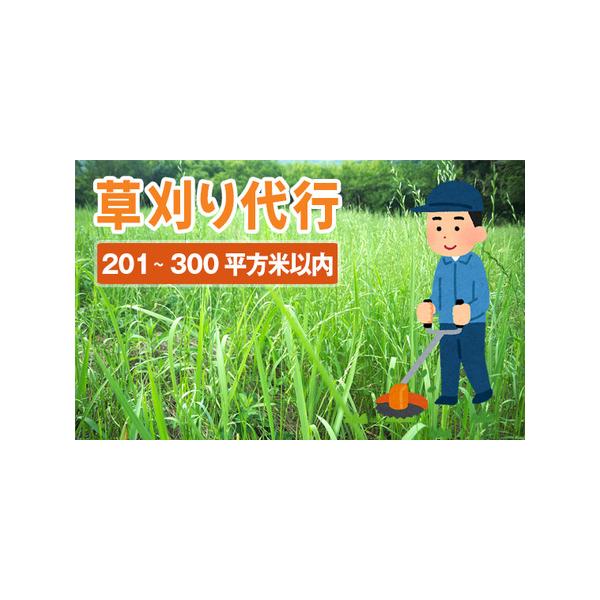 ■ 容量　【内容】　敷地面積201〜300平方メートル以内の空き地　　提供元：ハリガエクリーンサービス■ 配送について　通年　タイプ：【常温】