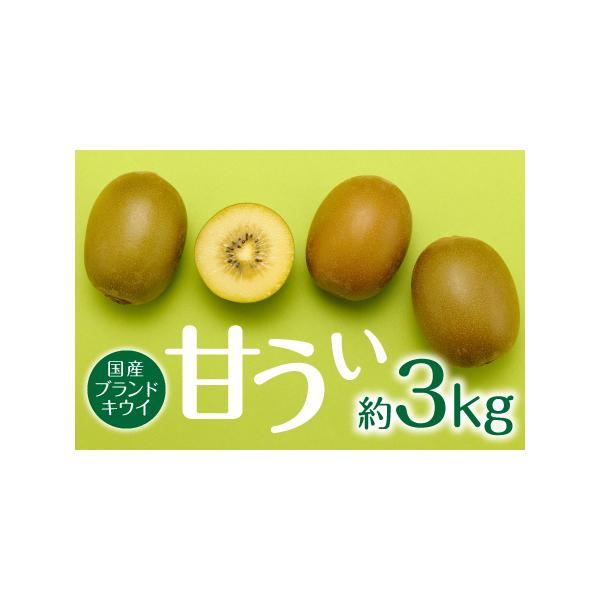 ■ 容量　人気の新ブランドキウイフルーツ（甘うぃ）約３ｋｇ　→生育状況などにより量が減る場合もありますがご了承ください。　　【賞味期限】　なまものですのでお早めにお召し上がりください。　　【アレルギー】　キウイフルーツ■ 配送について　２０...