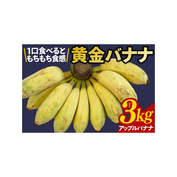 ■ 容量　黄金バナナ 約3kg　※内容量は前後する場合がございます。ご了承くださいませ。■ 配送について　ご入金確認後、1週間程度で発送いたします。　※生育の都合により配送が遅れる場合がございます。予めご了承ください。　時間指定のみ可　タイ...
