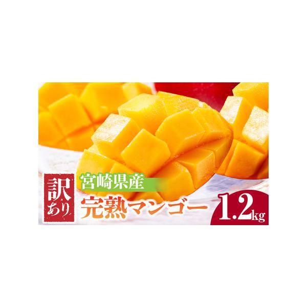 ■ 容量　宮崎県産 訳あり完熟マンゴー　1.2kg（ご家庭用）　　■ 配送について　2026年4月下旬〜7月下旬に発送予定　※配送不可エリア：離島　タイプ：【冷蔵】